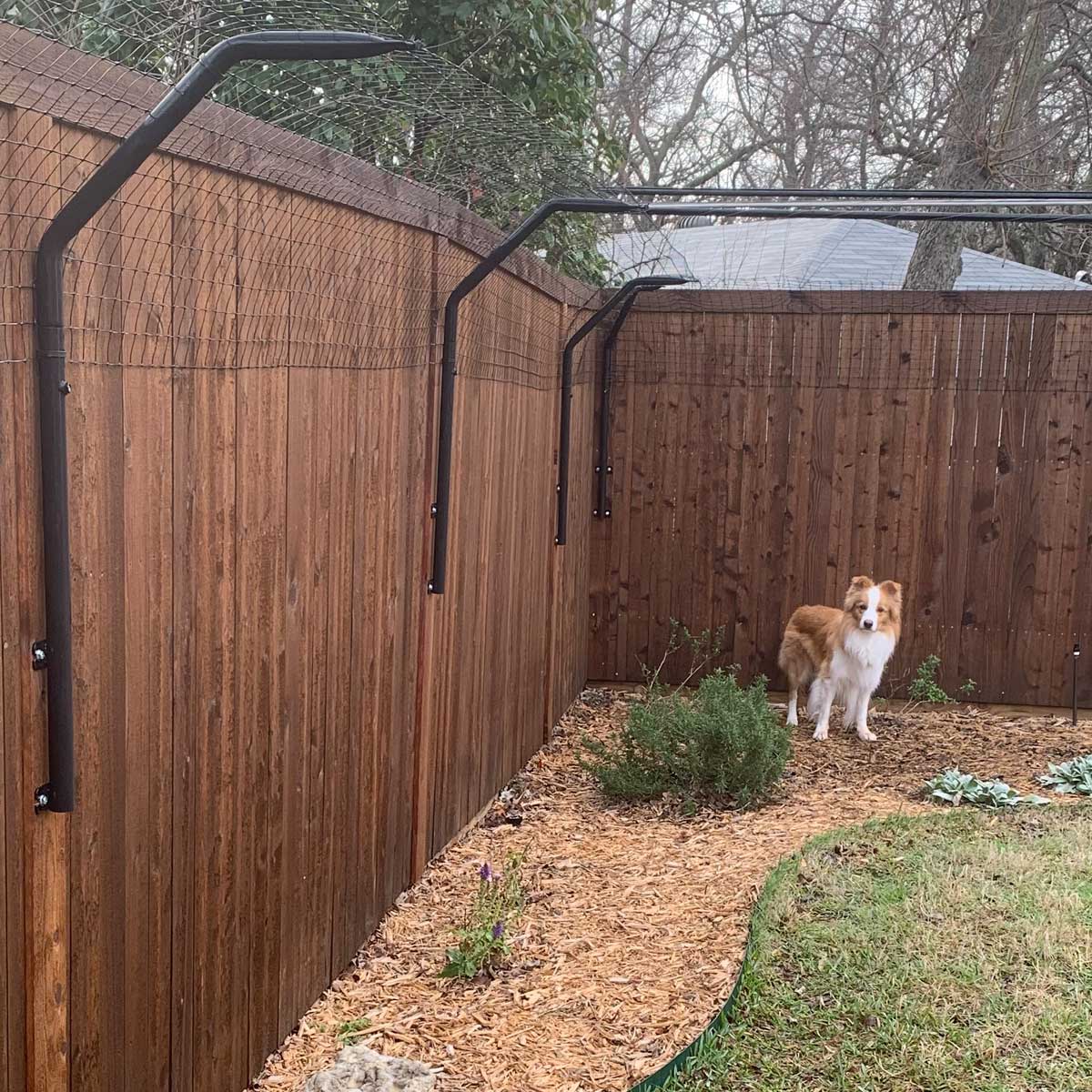 Outdoor Dog Fence | Easy Dog Enclosures by Dog Proofer