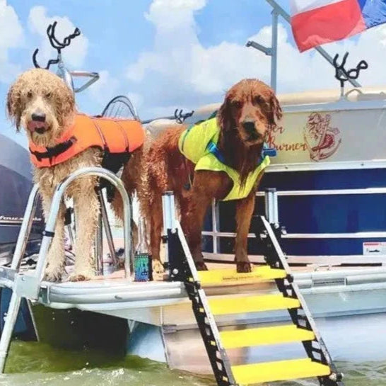 Pontoon Dog Ramp - Dog Ladder for Pontoon Boats - Dog Proofer