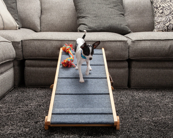 Dog-Proofer Indoor Pet Ramp - Dog Proofer