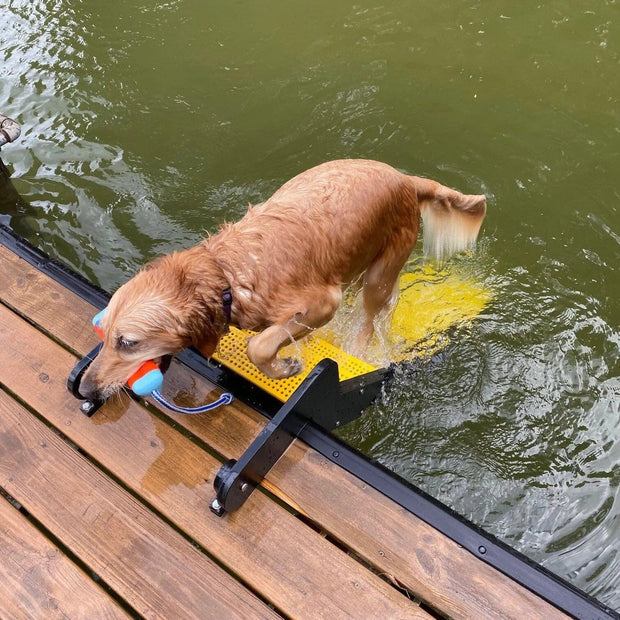 Dock Ramp/Ladder for Dogs – Dog Proofer