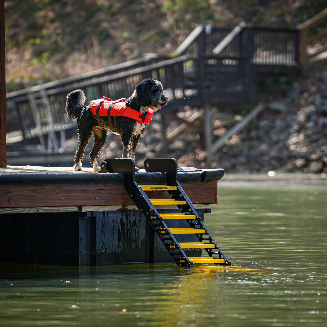 Dock Ramp/Ladder for Dogs – Dog Proofer