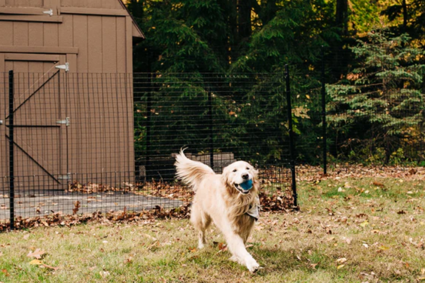 Outdoor Dog Fences - Easy Dog Enclosures by Dog Proofer